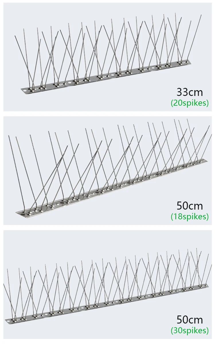 Stainless Steel Bird Spikes - Deter Pest Birds Effectively