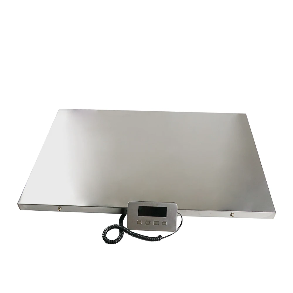 Stainless Steel Weighing Scales - Precision and Durability