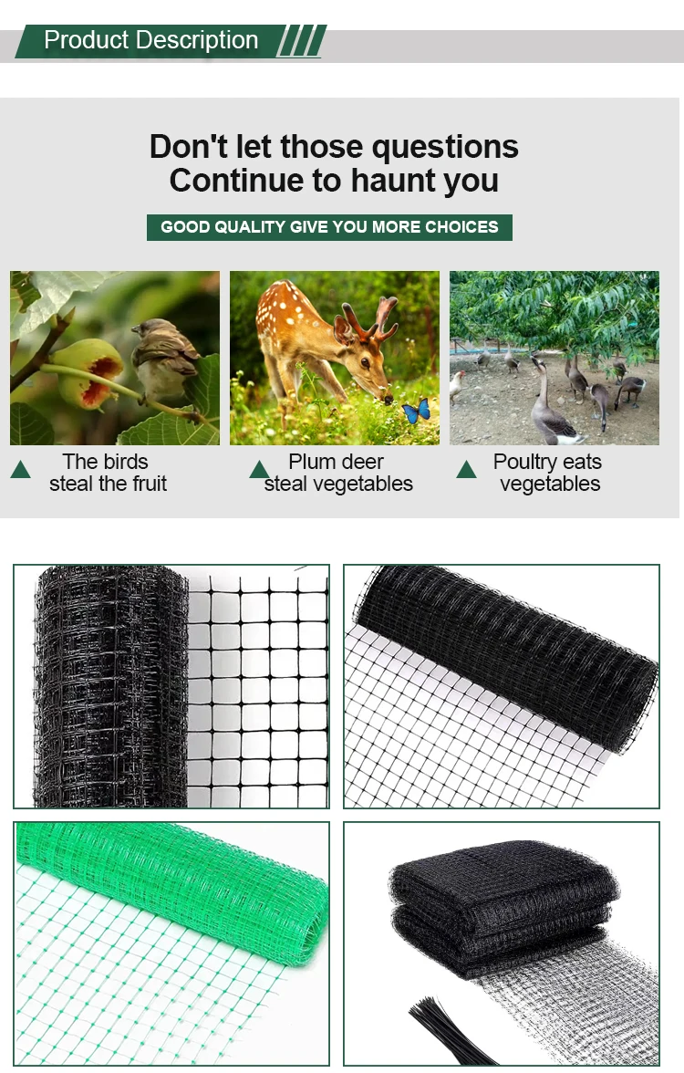 Plastic Deer Fence Anti Mole Netting - Buy Bird Netting Grape Bird ...