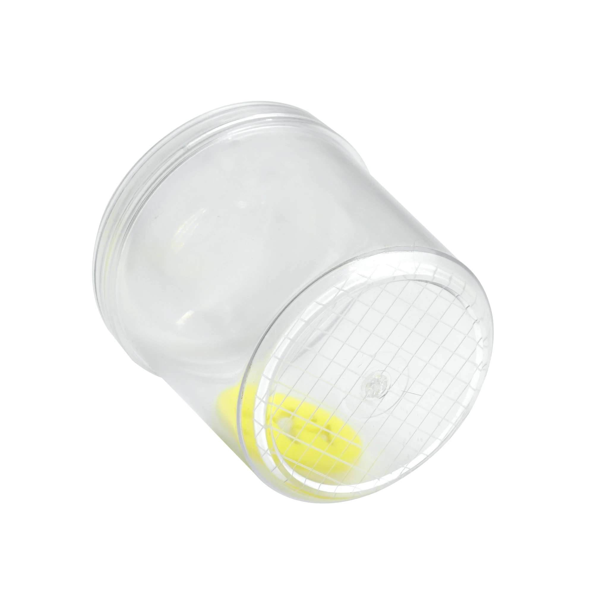 Cylindrical Acrylic Magnifier Jar Insect Container Portable Spider Bug ...