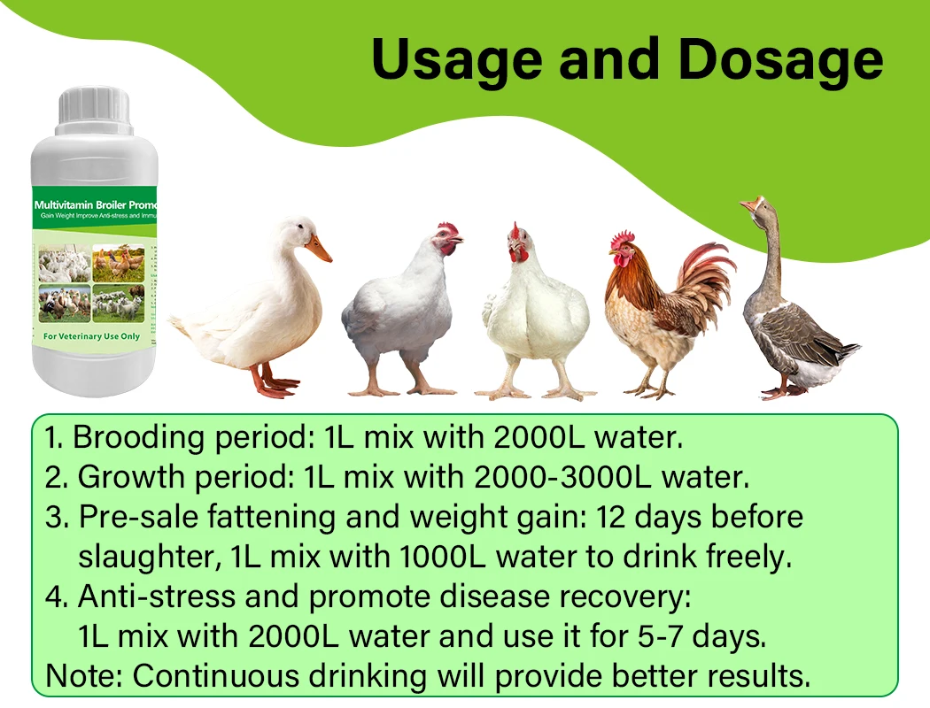 Solution Chicken - Fast Growth & Weight Gain for Poultry