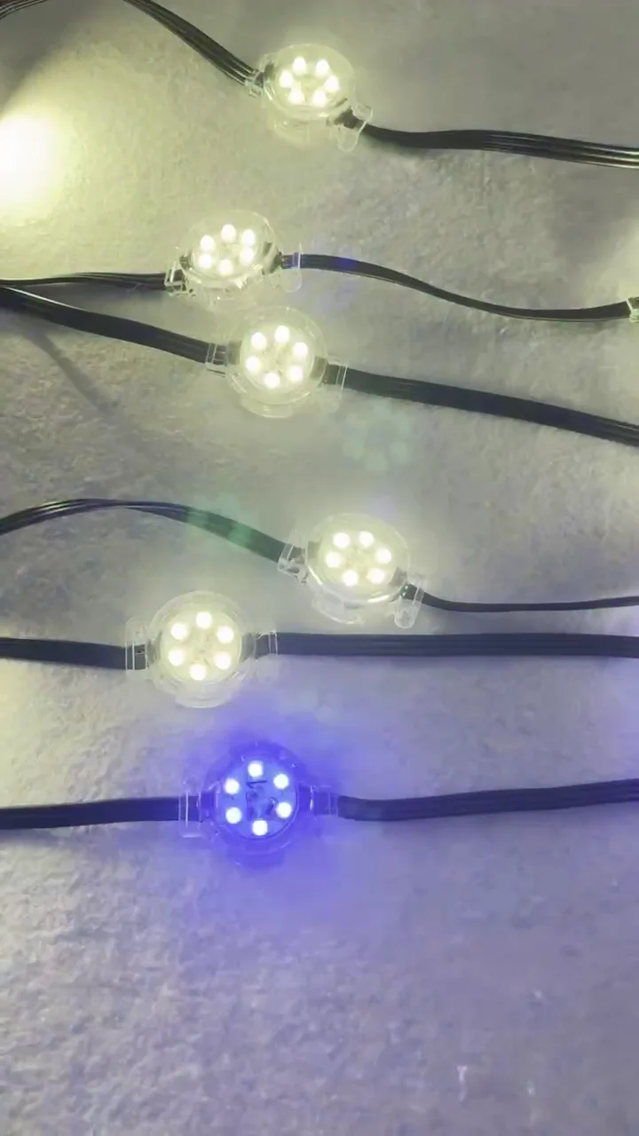 20 Pixels/string 30mm 24v Ws2811 Led Addressable Rgb Pixel Module Ip68 ...