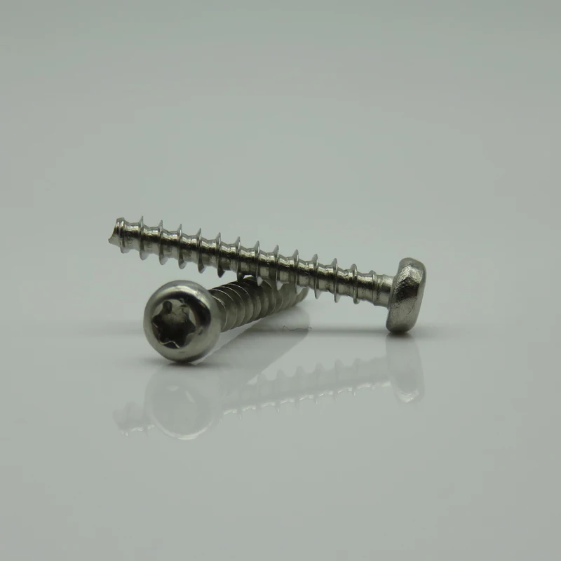 Custom Wholesale Pb3*20 Pan Head Torx 304 Stainless Steel Self Tapping Pt Screw - Buy Wn5452 Pt ...