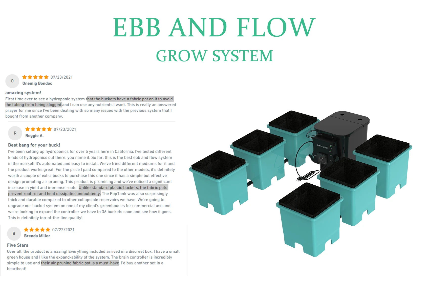 DWC Hydroponic System Indoor Garden with 6 Buckets