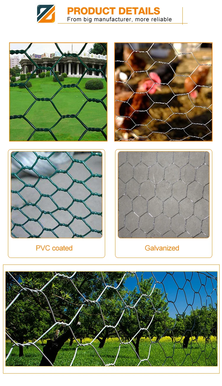 PVC Coated Galvanized Wire Mesh for Chicken & Fish Traps