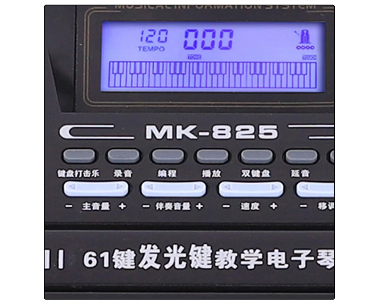 Professional Piano Double Pulley Usb Function Piano Electric Organ ...