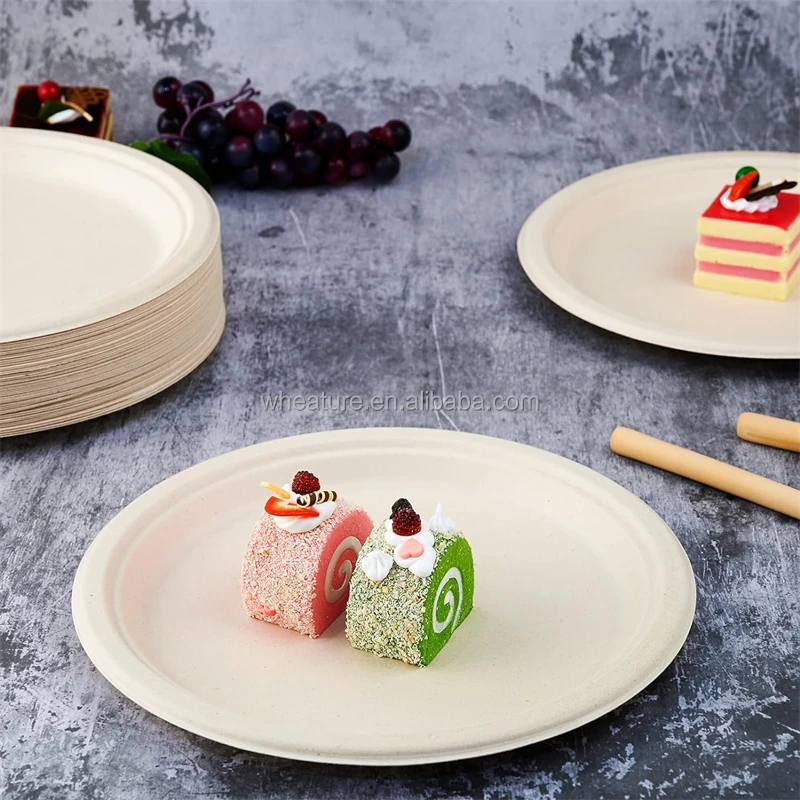 Sugarcane Bagasse Food Packaging Compostable Disposable Dinner Plates ...