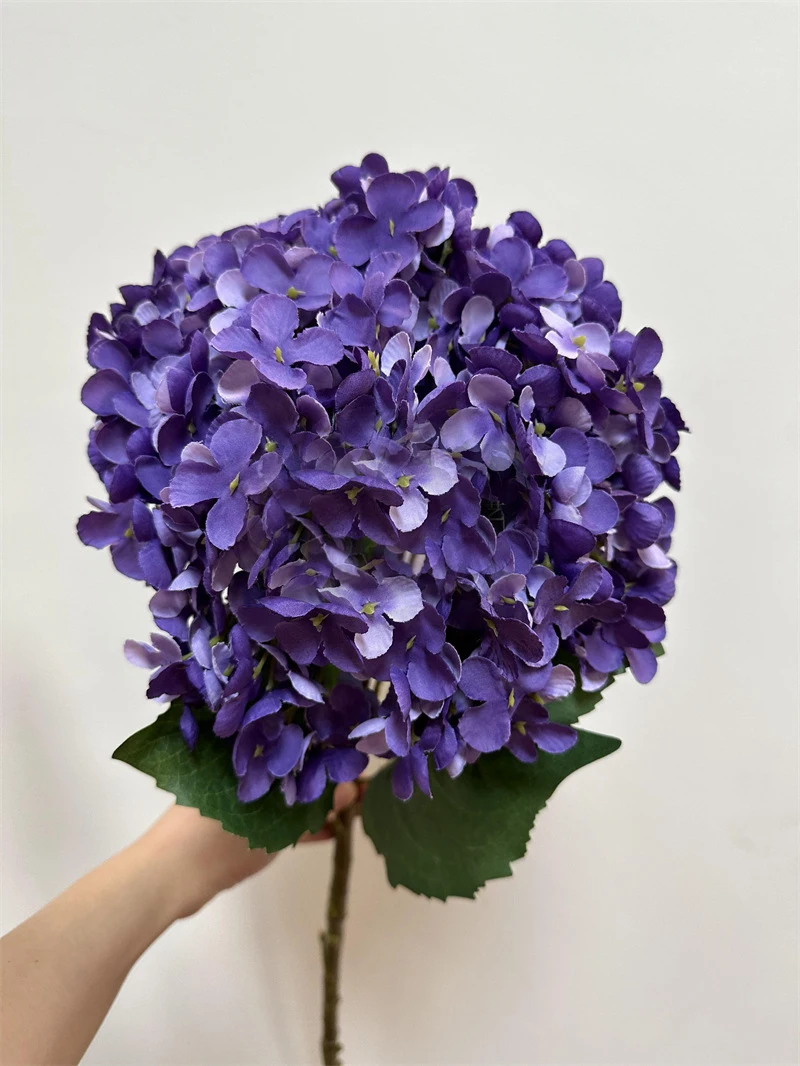 Dalian Chermy Flower Wholesale Diameter 30cm White Large Hydrangea ...