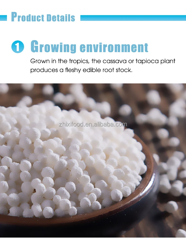 Thailand White Sago Seed Tapioca Pearl Palm Atarch Supplier Mango ...