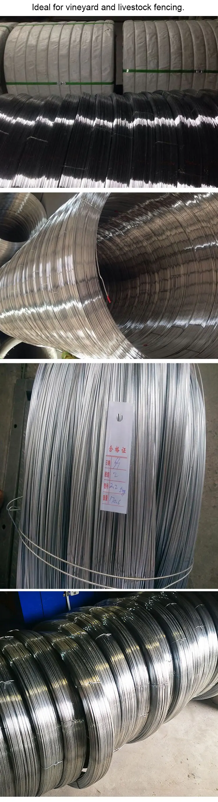 High Carbon Oval Steel Wire / Oval Galvanized Wire Price / Galvanized ...
