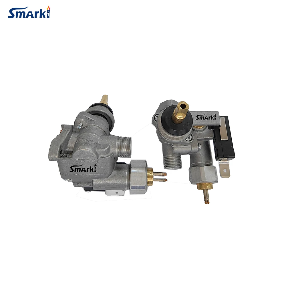 Double Wire Solenoid Valve Safety Gas Valve For Gas Hob Gas Stove Valve ...