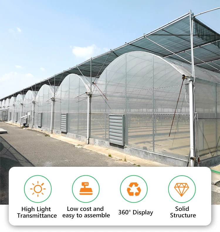 Spray Irrigation Systemgeodesic Dome Sawtooth Greenhouse Hydroponic ...