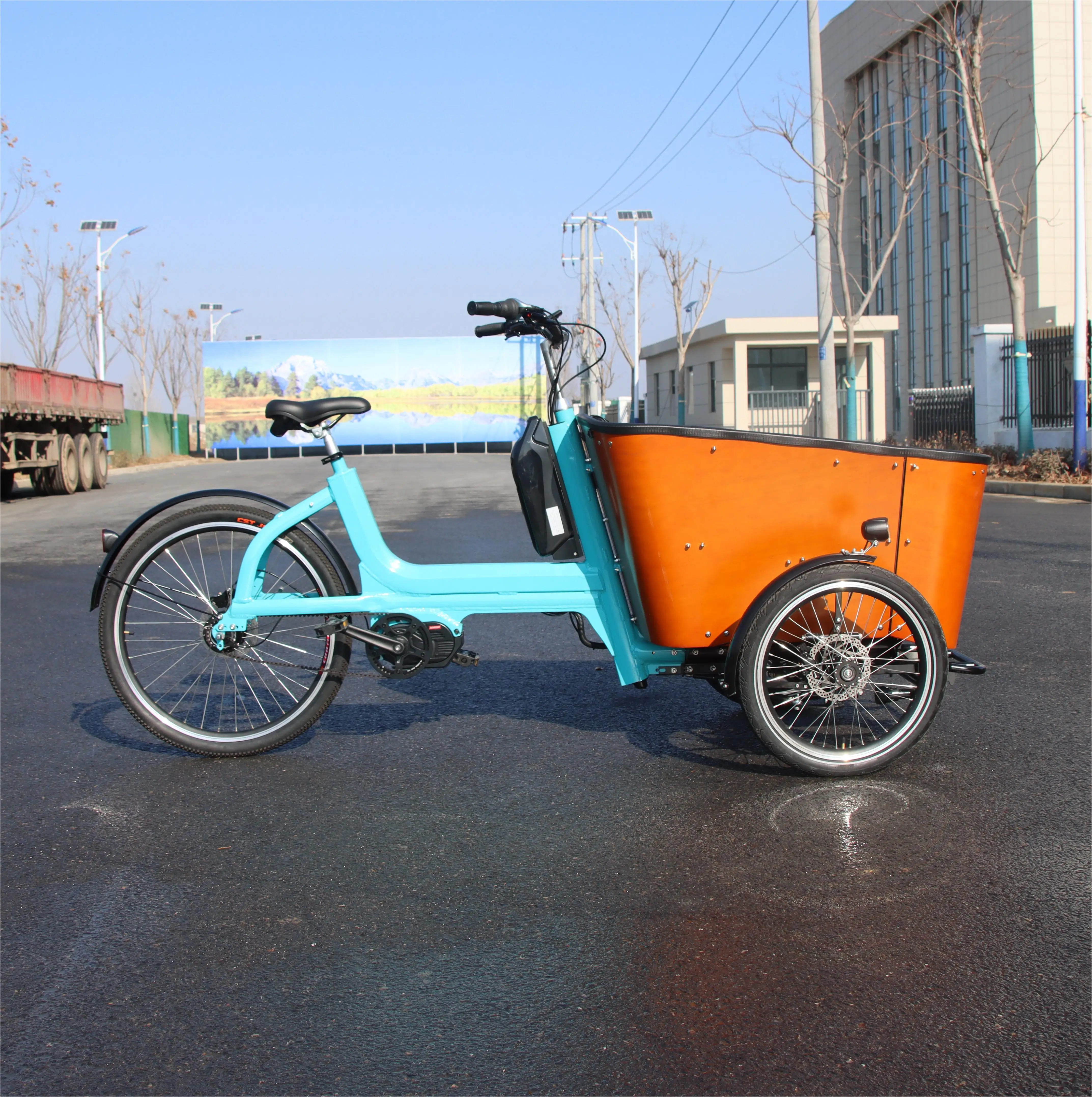 Three Wheel Electric Tricycle 48v 500w Electric Cargo Bike - Buy Chain ...