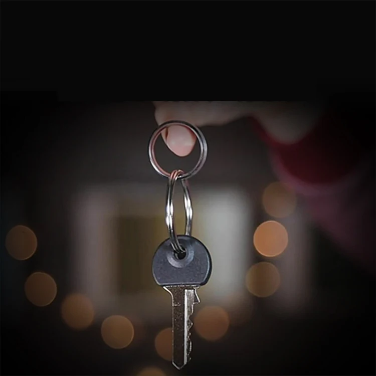 Master Key Rinkey RARE & EXCLUSIVE Magic Ring Flight to Key Chain Magic ...