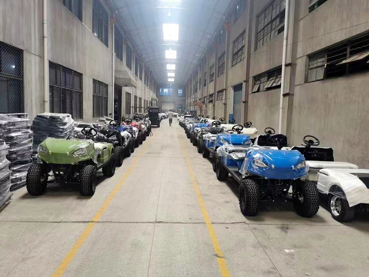 Cargo 72V Golf Cart - Small Utility Truck for Farms