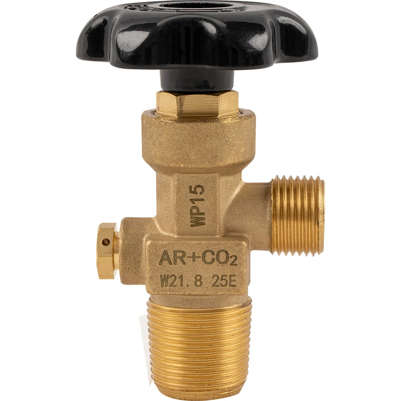 CE Industrial Steel Gas Cylinder Valve for Safe and Efficient Gas Use ...