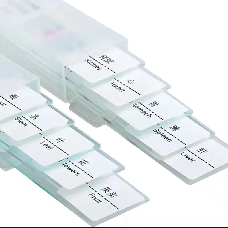 5pcs Prepared Histology Biology Microscope Slides Set In Plastic Box ...