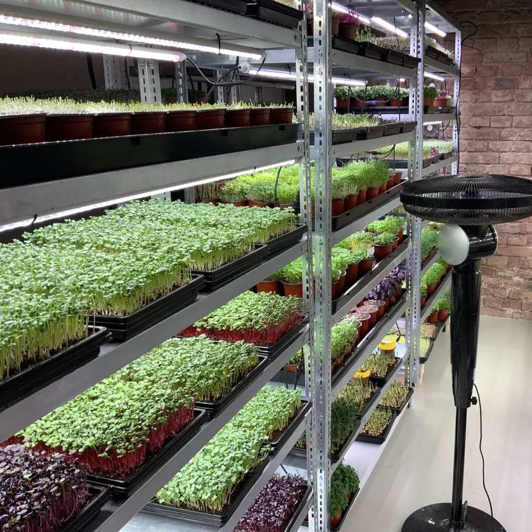 Vertical Farming System Aeroponic Grass 1020 Tray Foam Seedling Trays ...