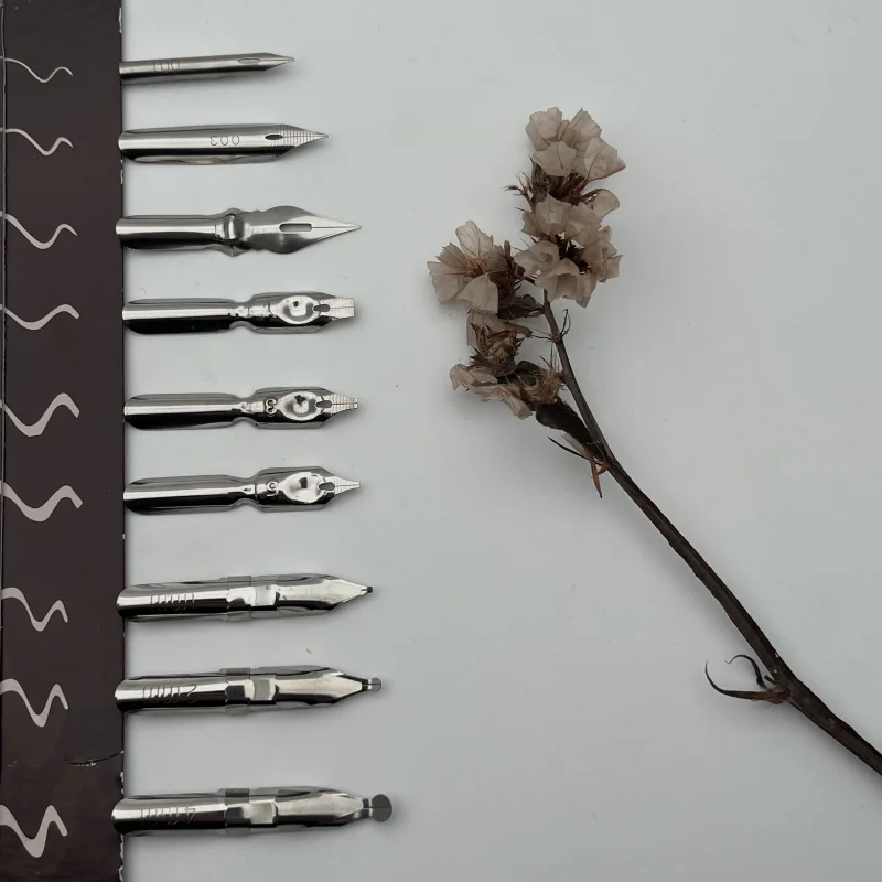 10 Piece Calligraphy Pen Set 1pen Holder 9 Nibs For Beginners Dip Pen ...