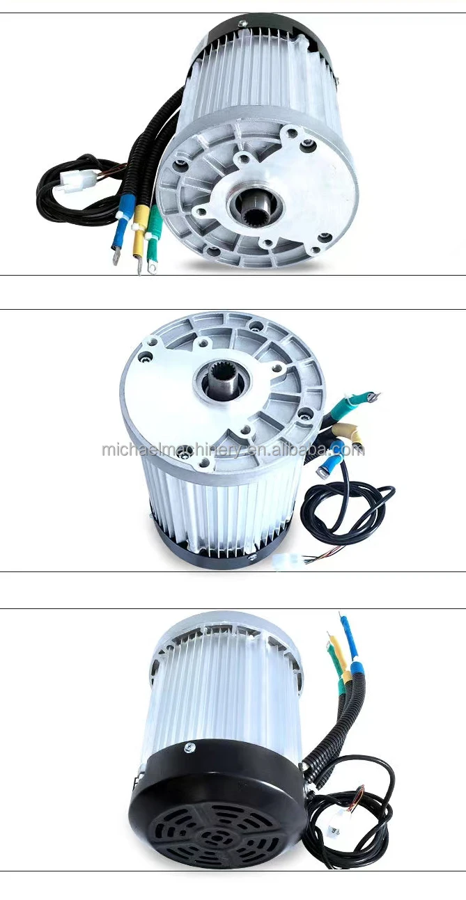 48V/60V/72V Permanent Magnet Synchronous Brushless DC Motors