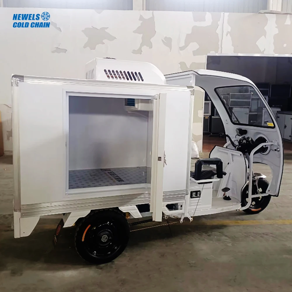 Refrigerated Boxes For Transport Last Mile Delivery Electric Cargo ...