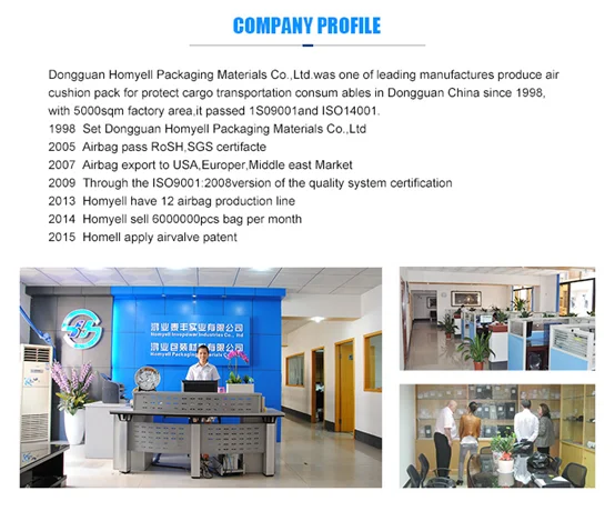 Homyell LCD Screen Packaging - Shock Resistance & Customization