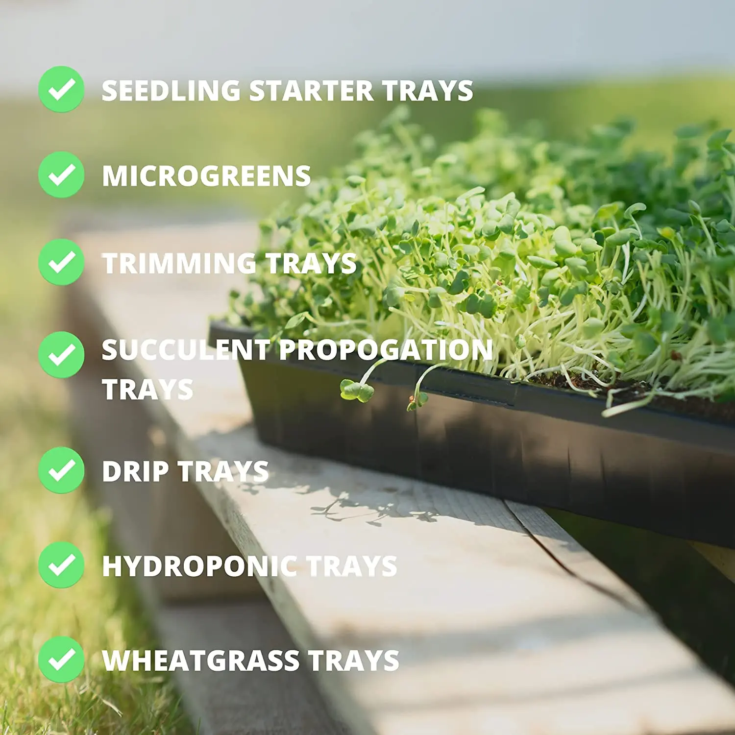 1010 Seed Tray extra Strength Fodder Hydroponic Barley Tray for Growing ...