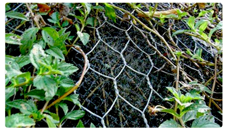 Customizable Reinforced Terramesh Hexagonal Weaving Preservative Gabion ...