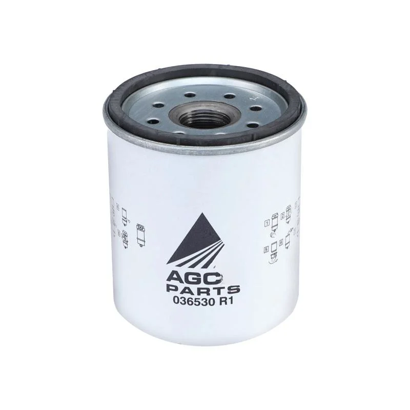 Best Price Truck Diesel Engine Fuel Filter 036530r1 84993233 P551866 ...