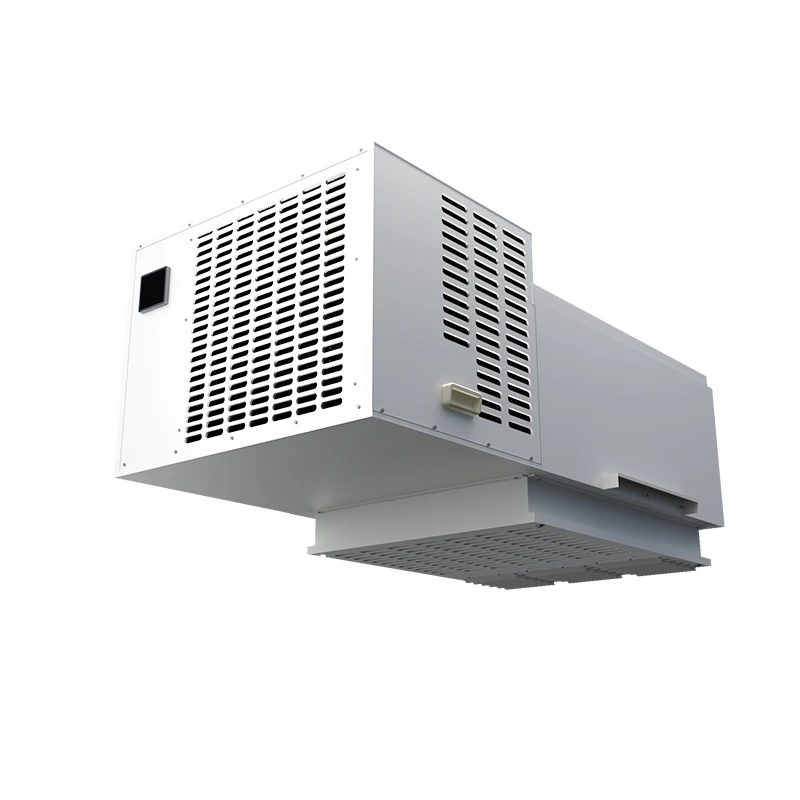 Ceiling Or Roof Mounted Monoblock Condensing Unit For Walk-in Freezer & Cooler Room ...