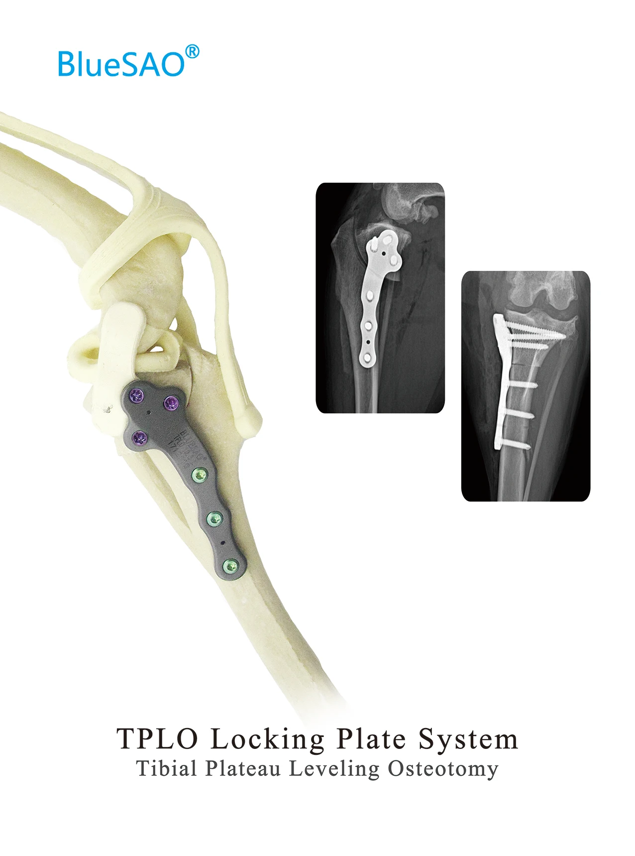 Bluesao Veterinary TPLO Kit - Small Animal Orthopedic Solutions