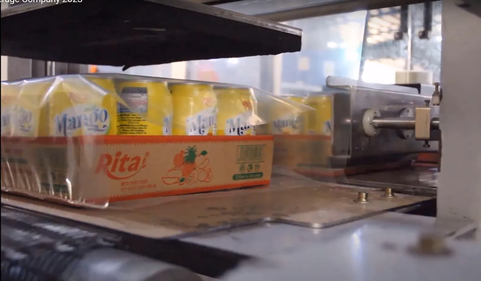 Vietnam Beverage Company Soft Dink 500 Ml Canned Bubble Tea Taro Oem ...