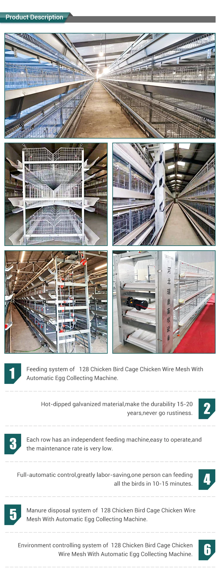 Philippines Galvanized Layer Chicken Cages Design Layer Chicken Cages ...