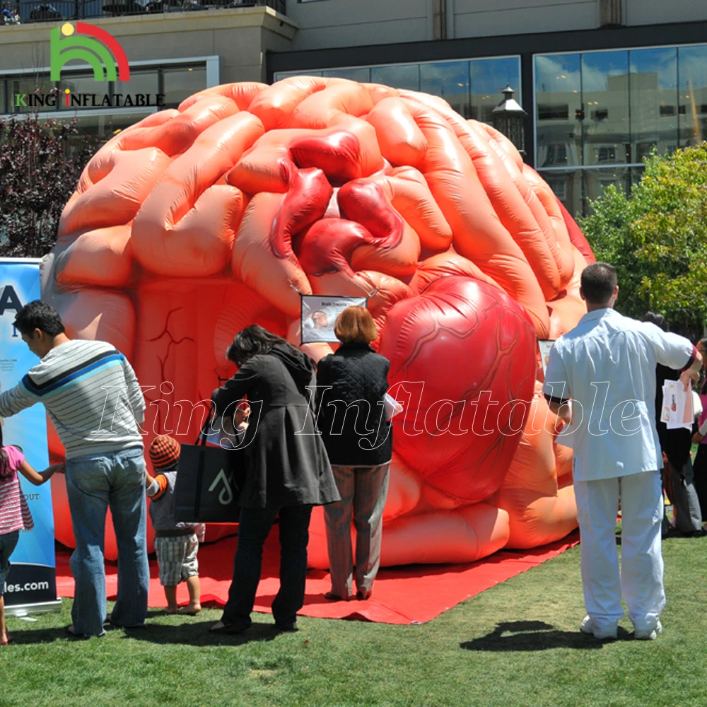 Blow up Brain - Large Inflatable Model for Healthcare Events