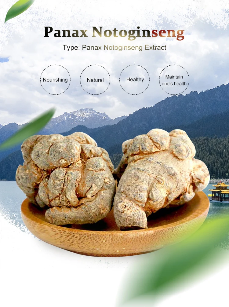 Chinese Herbal Dried Panax Notoginseng Root - Natural Health Extract ...