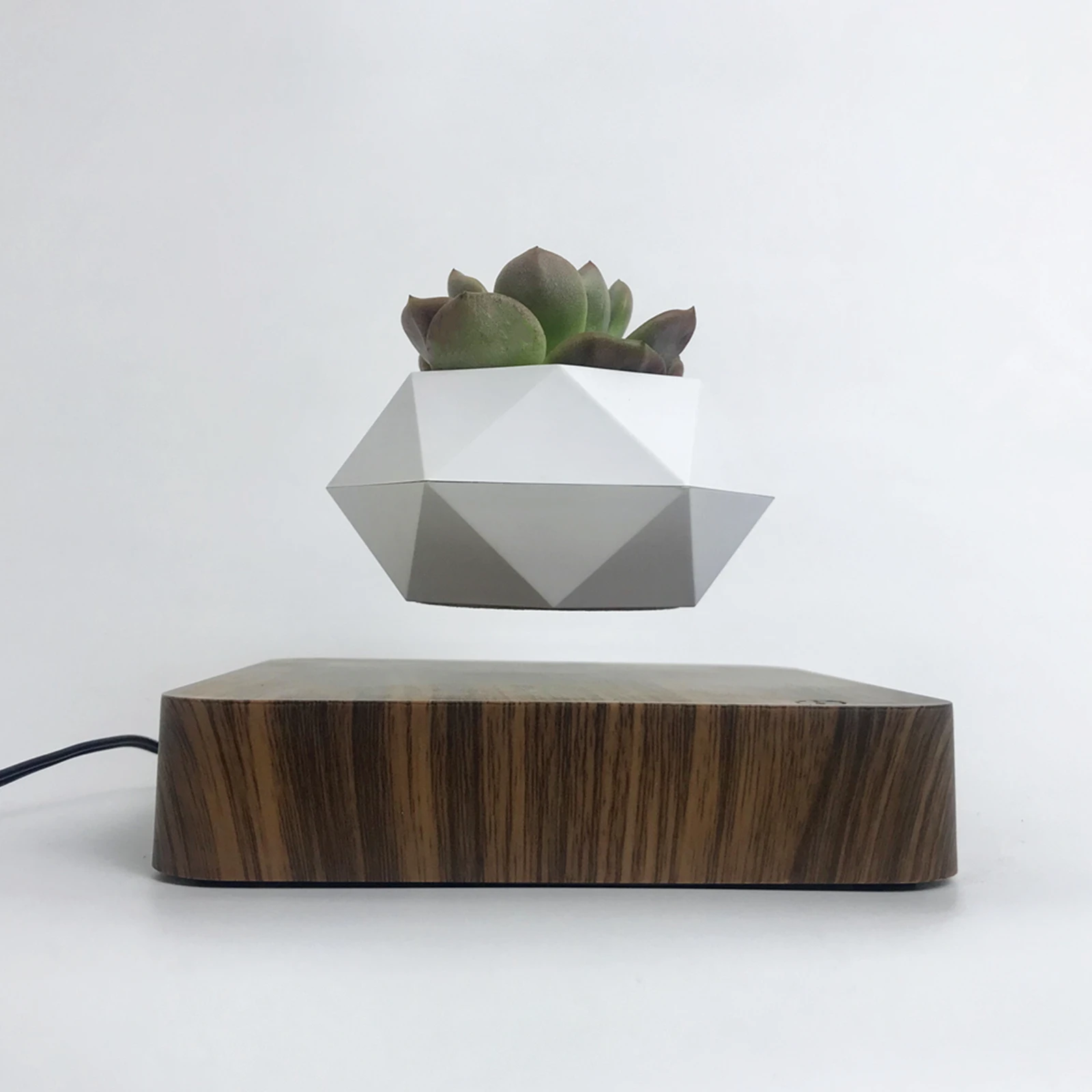 Magnetic Levitating Flower Pot - Perfect Home Decoration