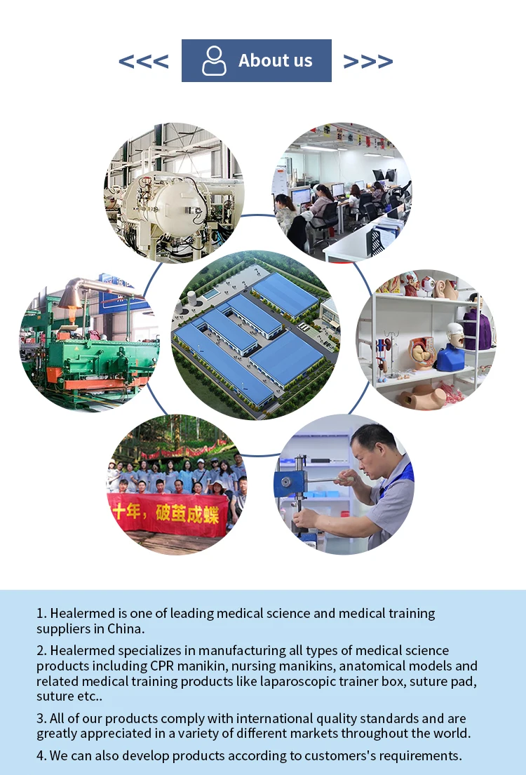 Realistic Injection Pad Training Kit Injection Module With Blood ...