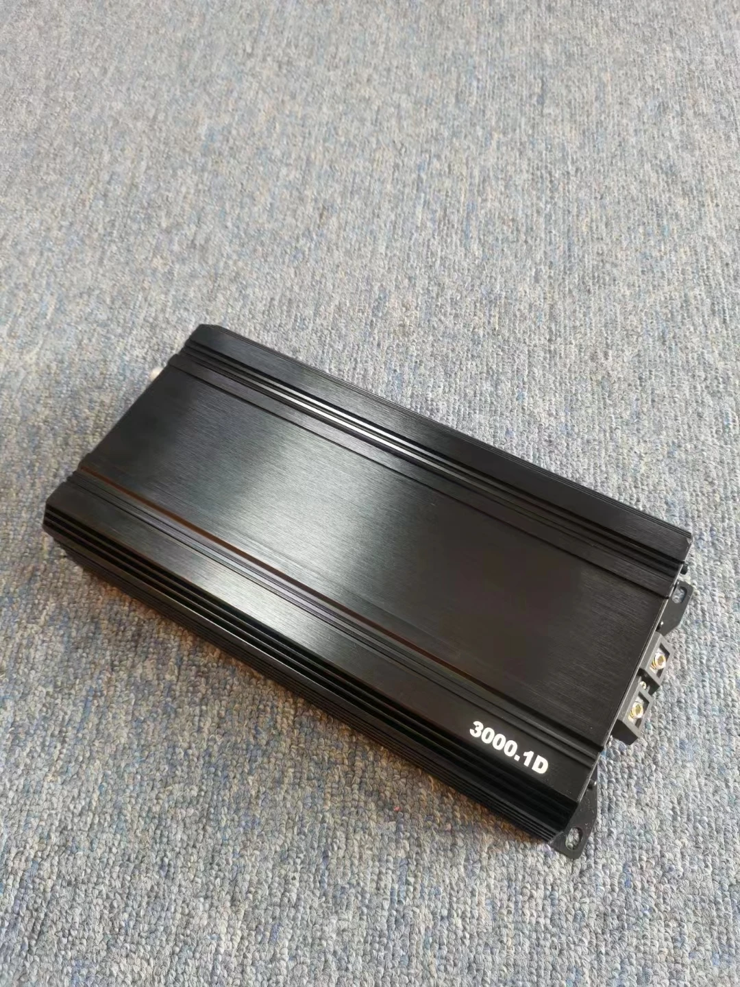 2000W 3000W Class D Monoblock Amp - Professional Car Audio