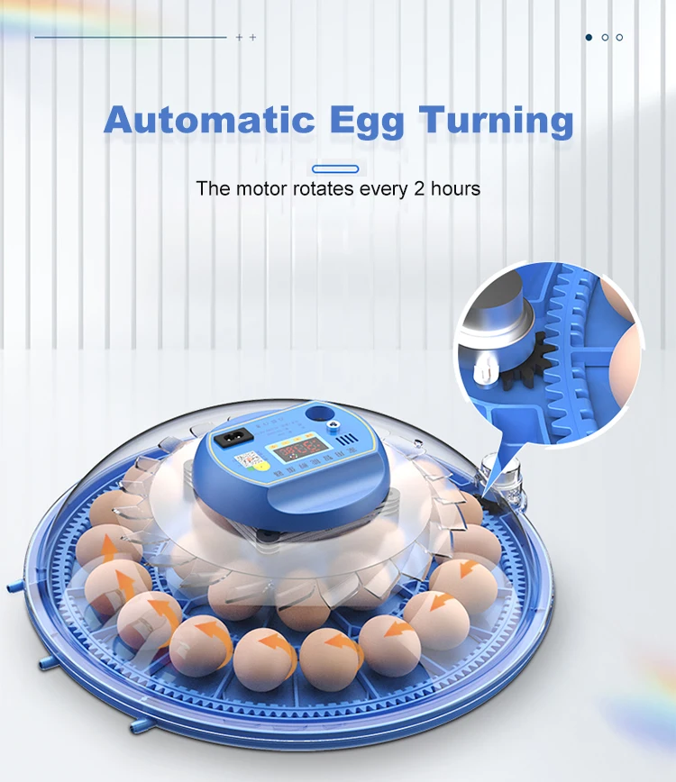 Home Use Dual Power Capacity 80 Egg Automatic Incubator Hatching Eggs ...