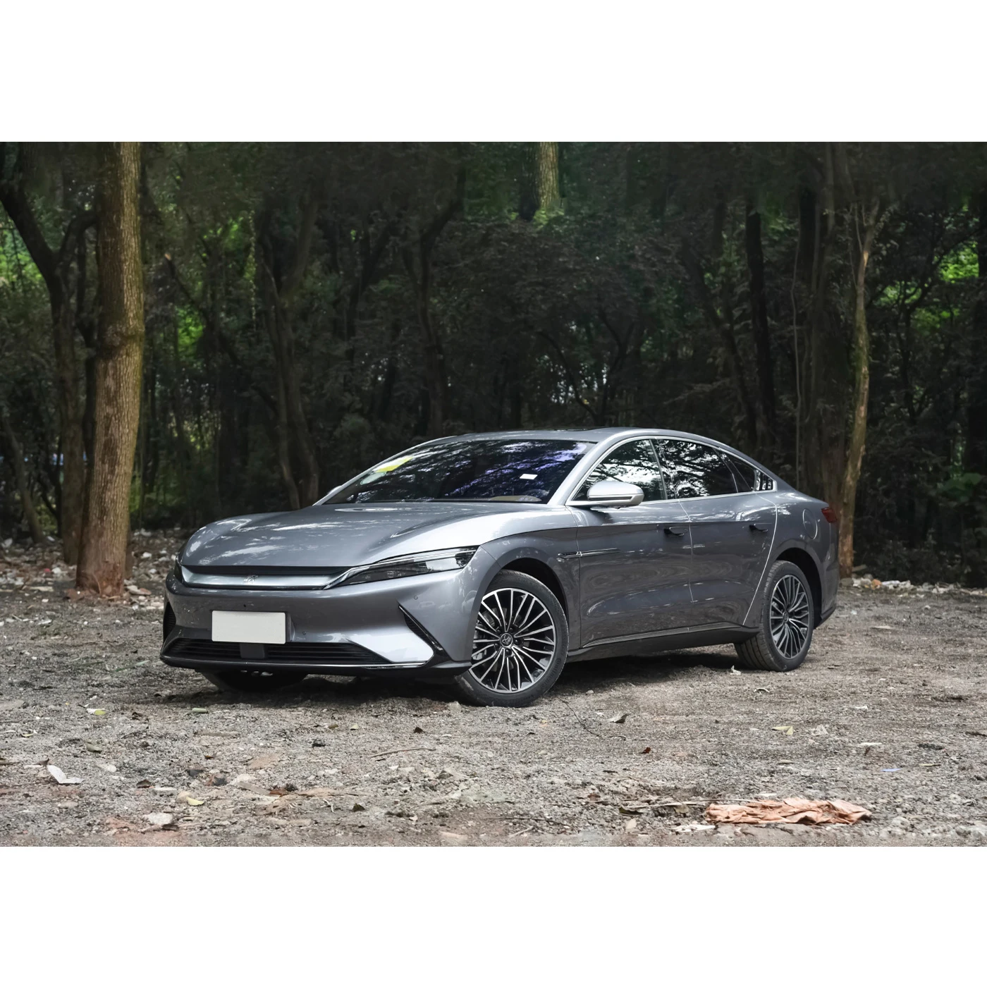 Byd Build Your Dream Han 2021 Ev Standard Range Luxury Version - Buy ...