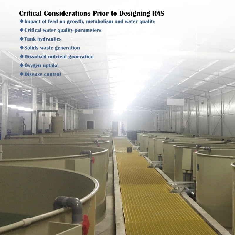 180m3 Intensive Recirculating Aquaculture System For Salmon Fish Farms ...