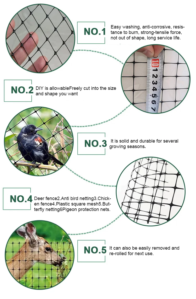 Plastic Deer Fence Anti Mole Netting - Buy Bird Netting Grape Bird Prevention Net Fruit Tree ...