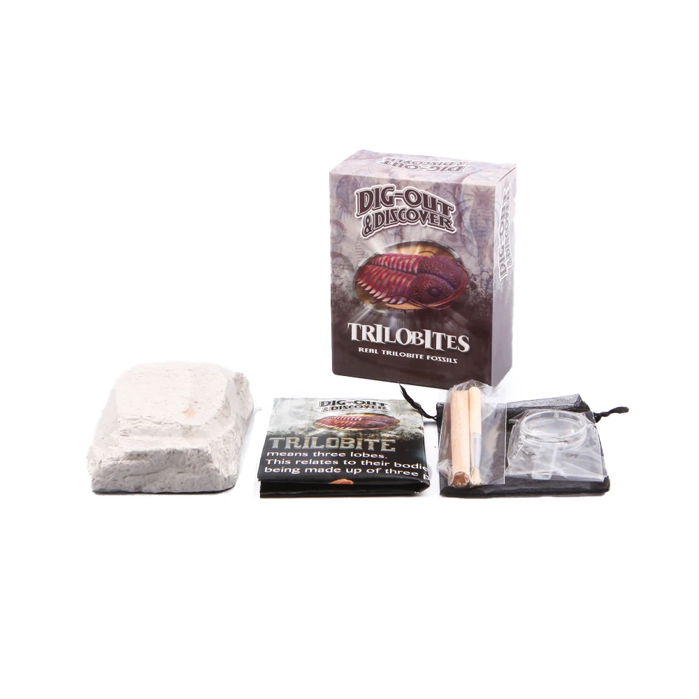 Fossil Trilobites Dig Discover Excavation Kit - Buy Education Toys Stem ...