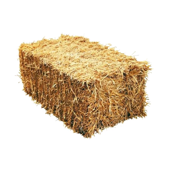 Block Of Straw From Rice Plants Made From Compressed Rice Cobs For Use ...