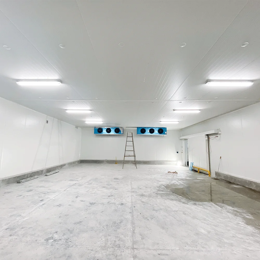 Cold Storage Room Fruit Industrial Walk In Freezer Cold Storage Cooler ...