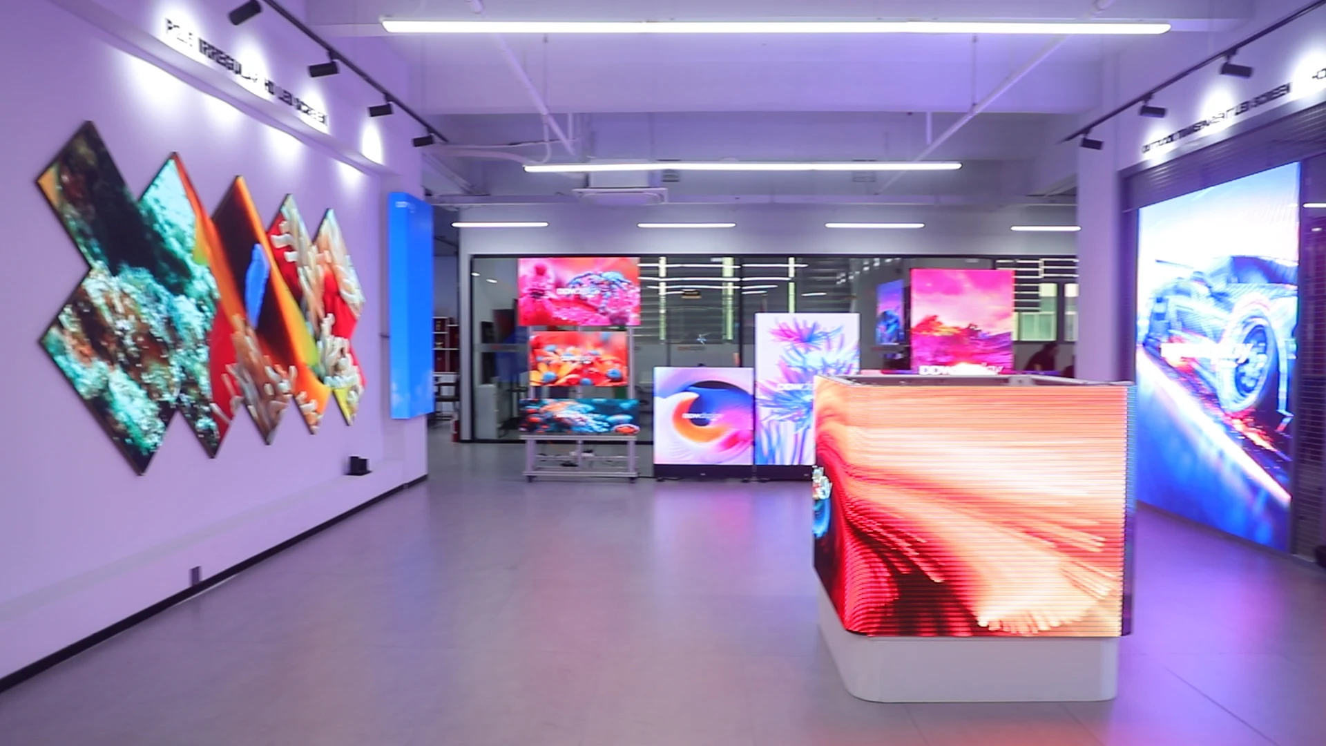 Company Overview - Shenzhen Ddw Technology Co., Ltd.