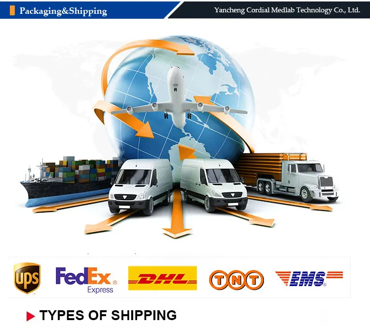 CORDIAL Low Form Beaker Wholesale 500ml Borosilicate Glass