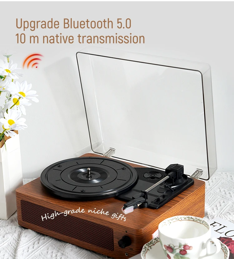 Modern Style Vinyl Record Player Turntable With Built in Bluetooth ...