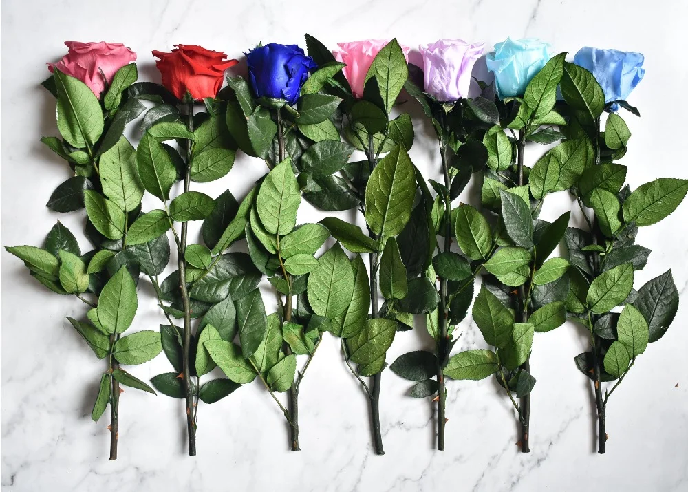 Long Lasting Everlasting Enchanted Eternity Infinity Forever Eternal ...