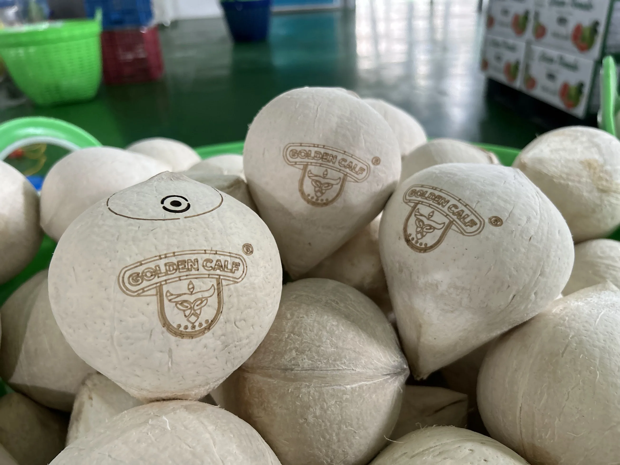 Fresh Young Coconut - Easy Open Private Brand Product